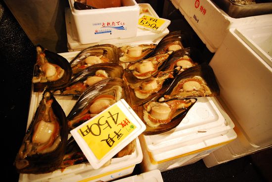 Giant Clams On Display Tsukiji Fish Editorial Stock Photo - Stock Image ...