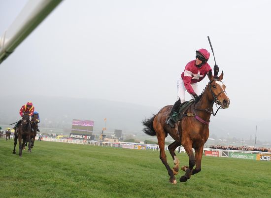 Cheltenham Don Poli Mikey Fogarty Winning Editorial Stock Photo - Stock ...