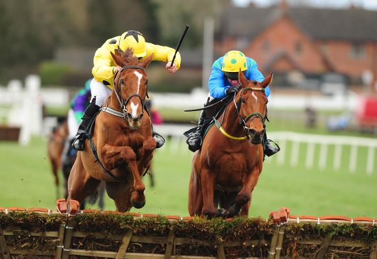 Horse Racing Down Royal Northern Ireland Editorial Stock Photo - Stock ...