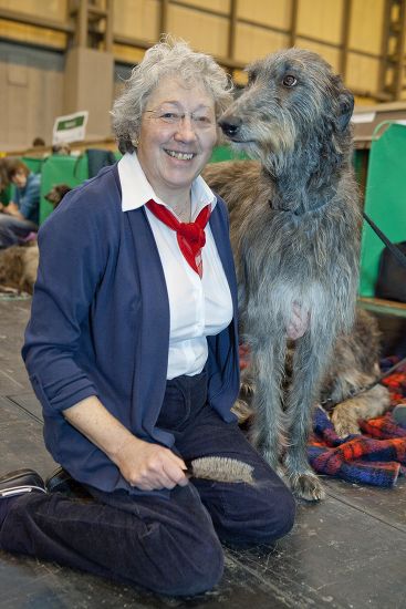Crufts Lookalikes Kay Dockree Her Deerhound Editorial Stock Photo ...