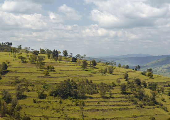 Land 1000 Hills Rwandan Countryside Consists Editorial Stock Photo ...