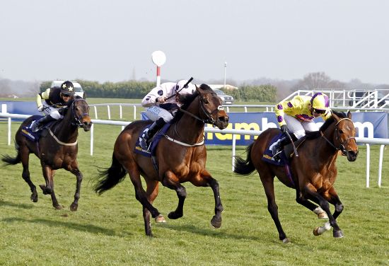 Dinkum Diamond Oisin Murphy Beats Captain Editorial Stock Photo - Stock ...