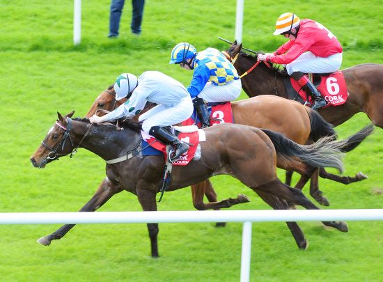 6414 Cork Bwana Declan Mcdonagh Near Editorial Stock Photo - Stock ...