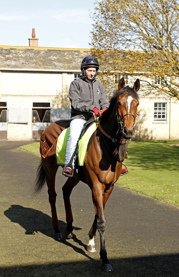 Rizeena Jana Trnakova Clive Brittains Stables Editorial Stock Photo