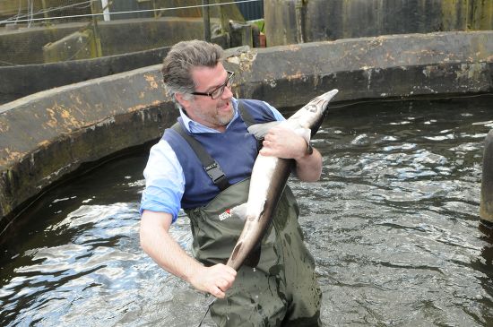 Ken Benning Sturgeon Editorial Stock Photo - Stock Image | Shutterstock