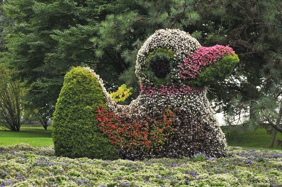 Duck Figure Different Flowers Mainau Germany Editorial Stock Photo ...