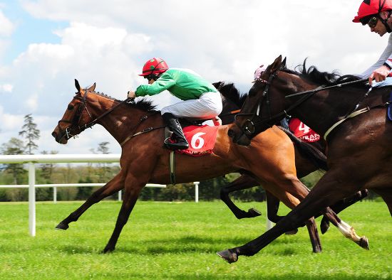 Gowran Sophies World Sean Corby Winning Editorial Stock Photo - Stock ...
