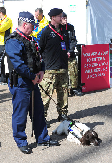 Biggles Sniffer Dog Basks Sun Close Editorial Stock Photo - Stock Image ...