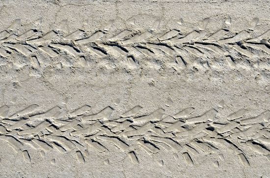 Tyre Tracks Bonneville Speedway Great Salt Editorial Stock Photo ...