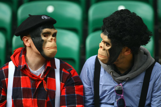 Rugby Fans Wear Monkey Monster Costumes Editorial Stock Photo - Stock ...