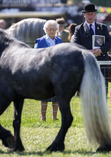 Queen Elizabeth Ii Watches Highland Pony Editorial Stock Photo - Stock ...