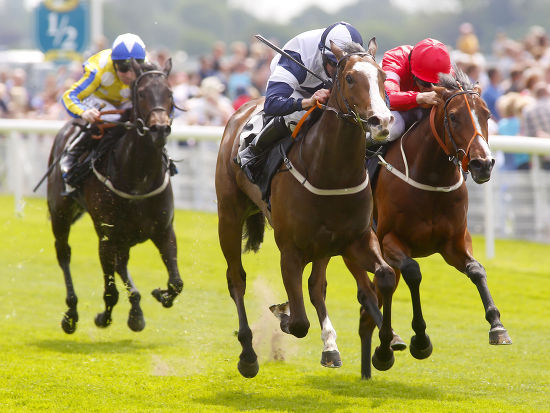 Patience Alexander Jim Crowley Blue White Editorial Stock Photo - Stock ...