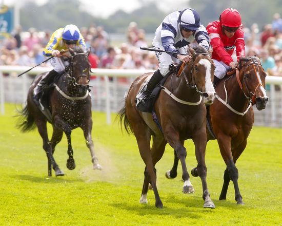 Patience Alexander Jim Crowley Blue White Editorial Stock Photo - Stock ...