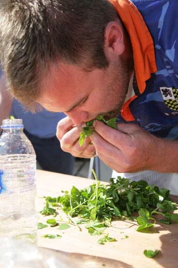 World Watercress Eating Championship Competitors Editorial Stock Photo ...
