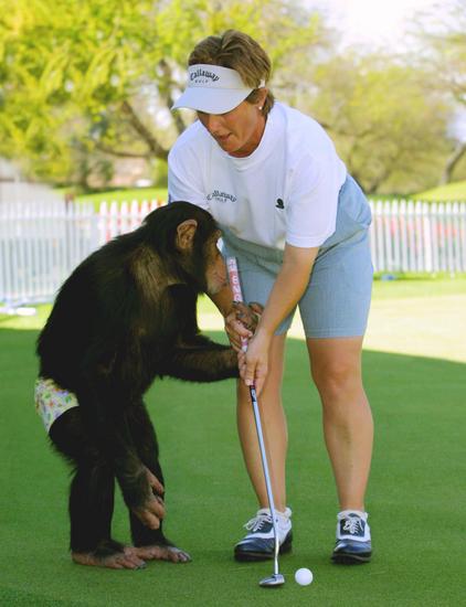 Alison Nicholas Playing Golf Angel Chimp Editorial Stock Photo - Stock ...
