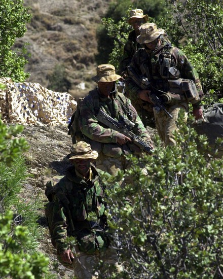 Royal Marines 45 Commando Patrolling Jacana Editorial Stock Photo ...