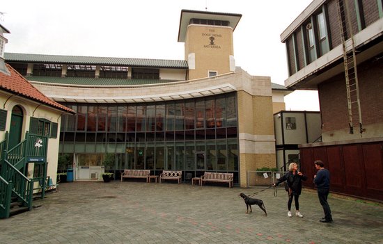 Battersea Dogs Home London That Houses Editorial Stock Photo - Stock ...