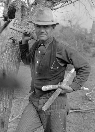 White Migrant Worker Hatchet Stakes Be Editorial Stock Photo - Stock ...