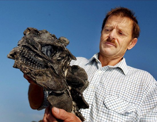 David Sole His 195 Million Year Editorial Stock Photo - Stock Image ...