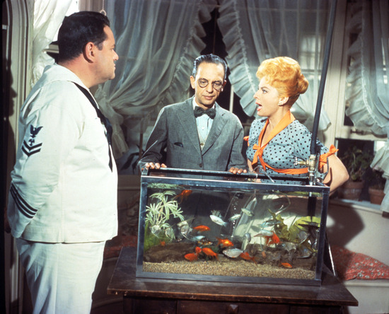 Film Stills Incredible Mr Limpet 1964 Editorial Stock Photo - Stock ...