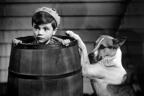 Film Stills Mokey 1942 Animals Actors Editorial Stock Photo - Stock Image | Shutterstock