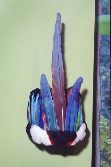 Colorful Aztec Feather Headdress Worn By Editorial Stock Photo - Stock ...