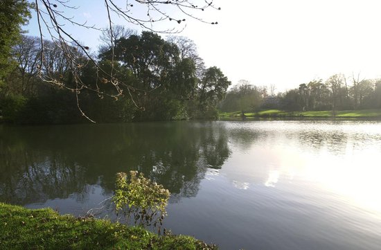 Lake Dodington Park Editorial Stock Photo - Stock Image | Shutterstock