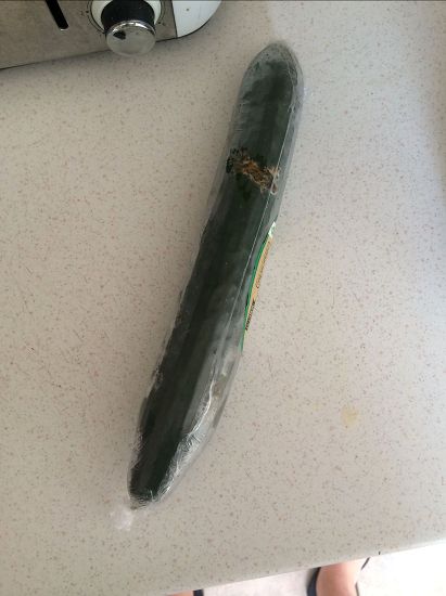 Lizard Inside Wrapped Cucumber Editorial Stock Photo - Stock Image ...