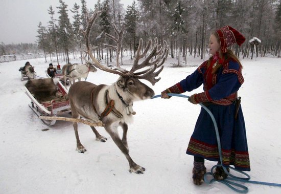 Reindeer Girl Traditional Lapp Dress Editorial Stock Photo - Stock ...