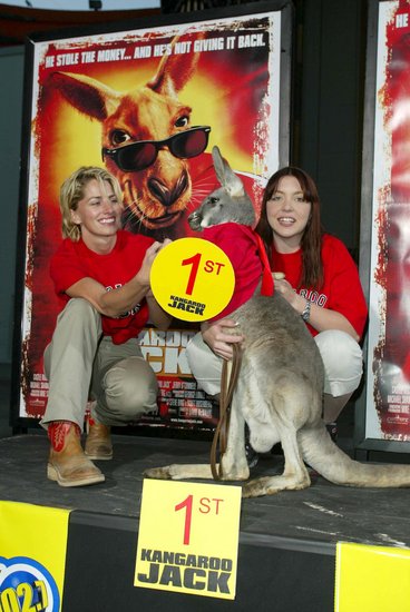 Kangaroo Race Editorial Stock Photo - Stock Image | Shutterstock