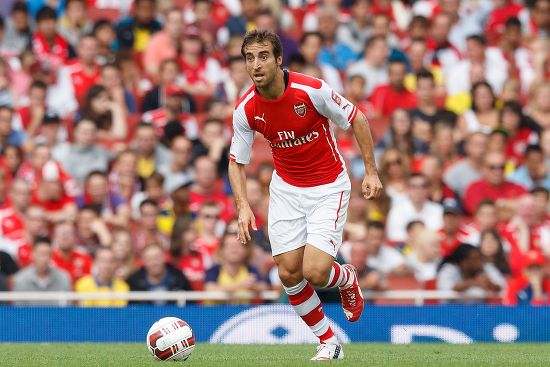 Mathieu Flamini Arsenal Editorial Stock Photo - Stock Image | Shutterstock