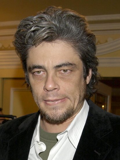 Benicio Del Torro Editorial Stock Photo - Stock Image | Shutterstock