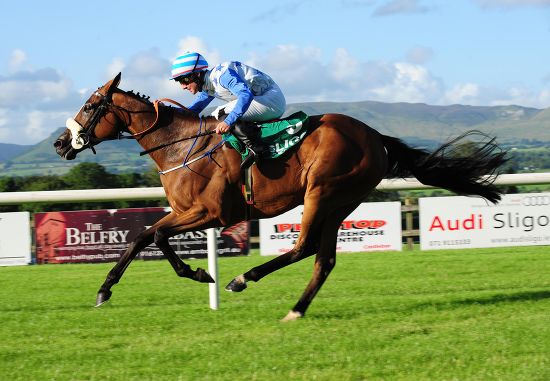 Sligo Queen Alba Rory Cleary Win Editorial Stock Photo - Stock Image ...