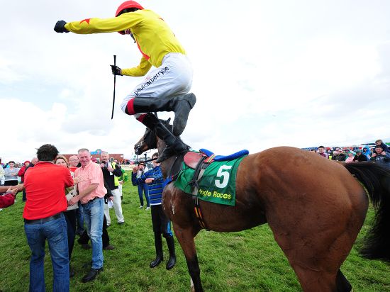 Dingle Horse Pony Races Coola Boola Editorial Stock Photo - Stock Image ...