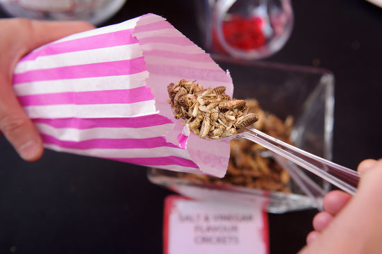 Insect Pick Mix Bag Editorial Stock Photo - Stock Image | Shutterstock