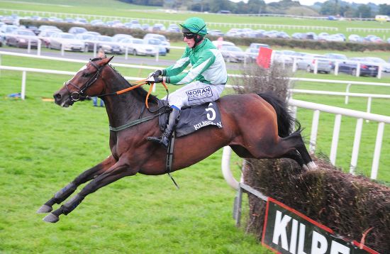 Kilbeggan Dedoctorsdaughter Brian Cawley Win Bloomfields Editorial ...