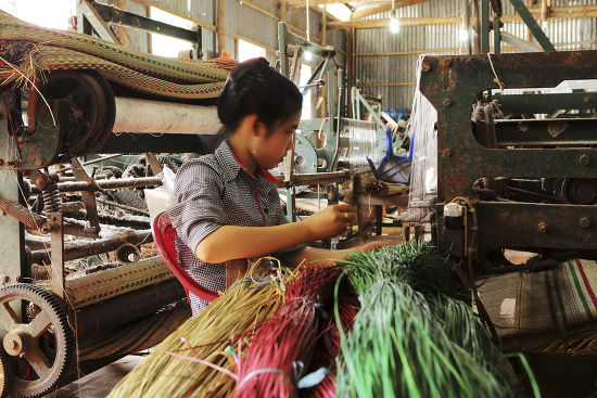 Sedge Weaving Factory Tan Chau Sedge Editorial Stock Photo - Stock ...