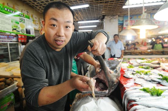 People Look Swordfish Editorial Stock Photo - Stock Image | Shutterstock