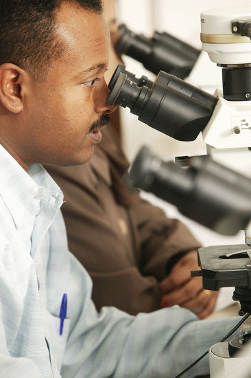 Model Released Pathologist Looks Through His Editorial Stock Photo ...