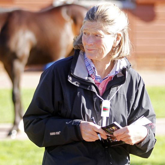 Emma Balding Inspects Yearlings Tattersalls Sales Editorial Stock Photo ...