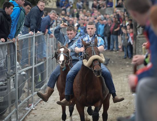 Riders Test Horses During Short Races Editorial Stock Photo - Stock ...