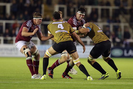 Dan Temm Takes On Bucharest Wolves Editorial Stock Photo - Stock Image ...