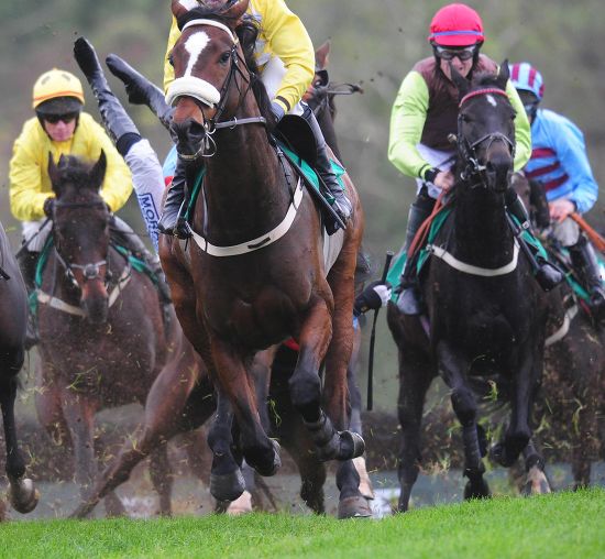 Downpatrick Brian Cawley Gets Unseated Brown Editorial Stock Photo ...