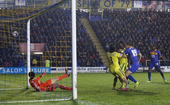 Andrew Mangan Shrewsbury Town Scores His Editorial Stock Photo - Stock ...