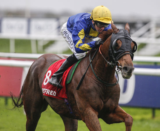 Levitate Martin Harley Win Betfred Supporting Editorial Stock Photo ...