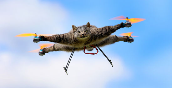Orvillecopter Flight - Foto de stock de contenido editorial: imagen de ...