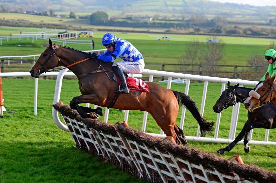 Punchestown Pairofbrowneyes Mikey Fogarty Over Last Editorial Stock ...