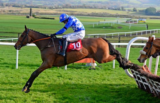 Punchestown Pairofbrowneyes Mikey Fogarty Over Last Editorial Stock ...