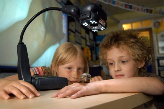 Pupils Using Visualiser Whiteboard Holmfirth Junior Editorial Stock Photo - Stock Image ...