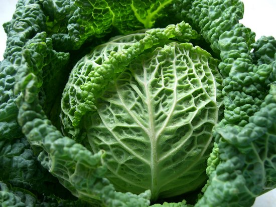 Savoy Cabbage Editorial Stock Photo - Stock Image | Shutterstock